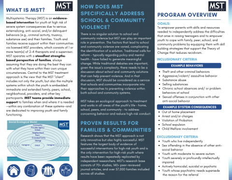 MultiSystemic Therapy Program | Bluebonnet Trails